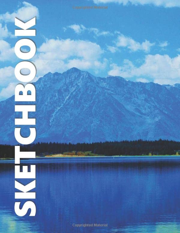 Sketchbook: 8.5"x11", Blank Paper for Drawing, Sketching, Doodling ...