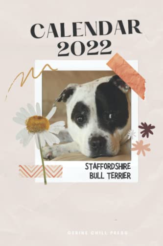 Staffordshire Bull Terrier Calendar 2022: Staffordshire Bull Terrier ...