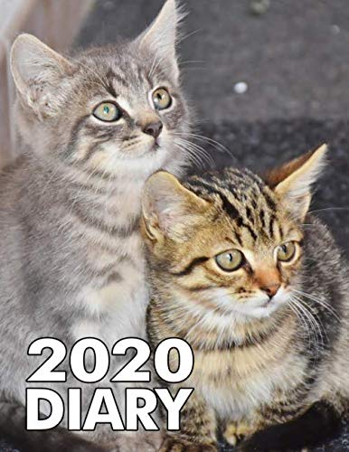 2020 DIARY: I am not saying that this diary will make you a confident ...