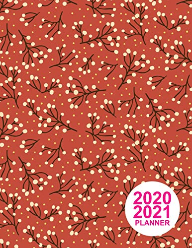 2020 2021 Planner: Nifty Two Year - Monthly Calendar Planner | 24 ...