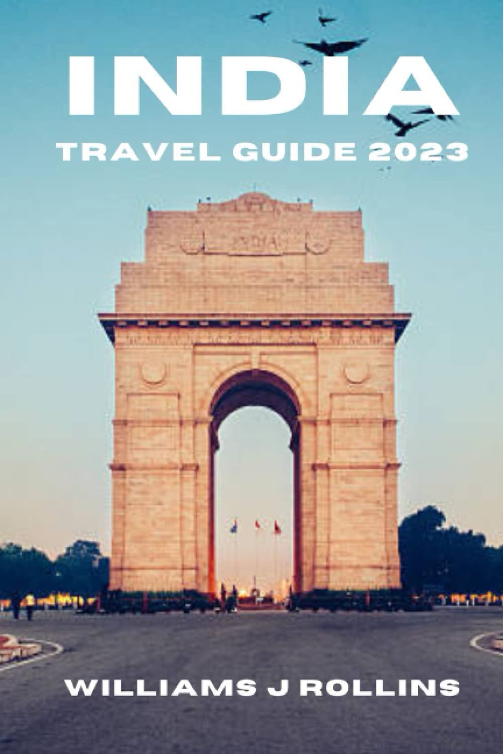 INDIA TRAVEL GUIDE 2023: The Ultimate Vacation Guide: For First-Time ...