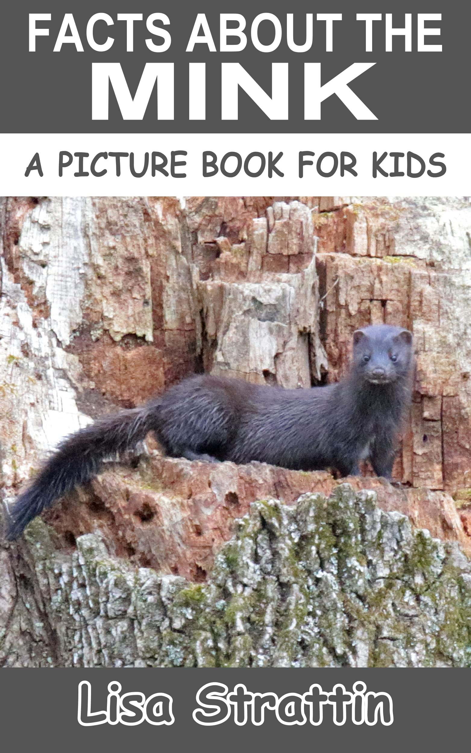 Facts About the Mink (A Picture Book For Kids 537) by Lisa Strattin ...