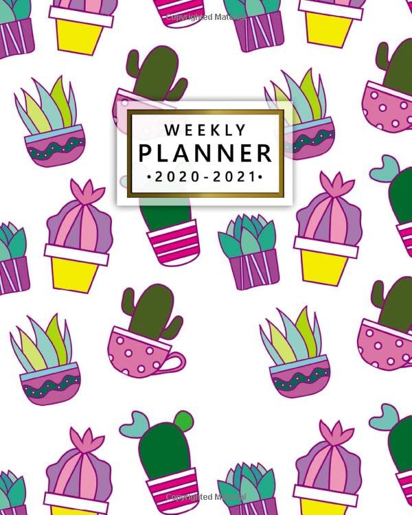 2020-2021 Weekly Planner: Funky Teacup Cactus Two Year Weekly Agenda ...