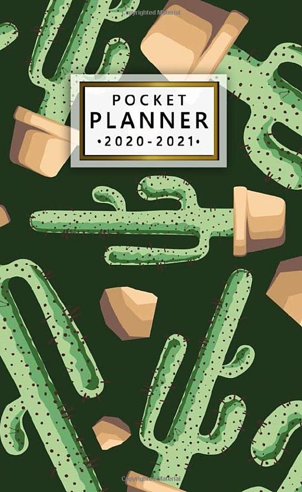 Pocket Planner 2020-2021: Potted Saguaro Cactus Two Year Monthly Pocket ...