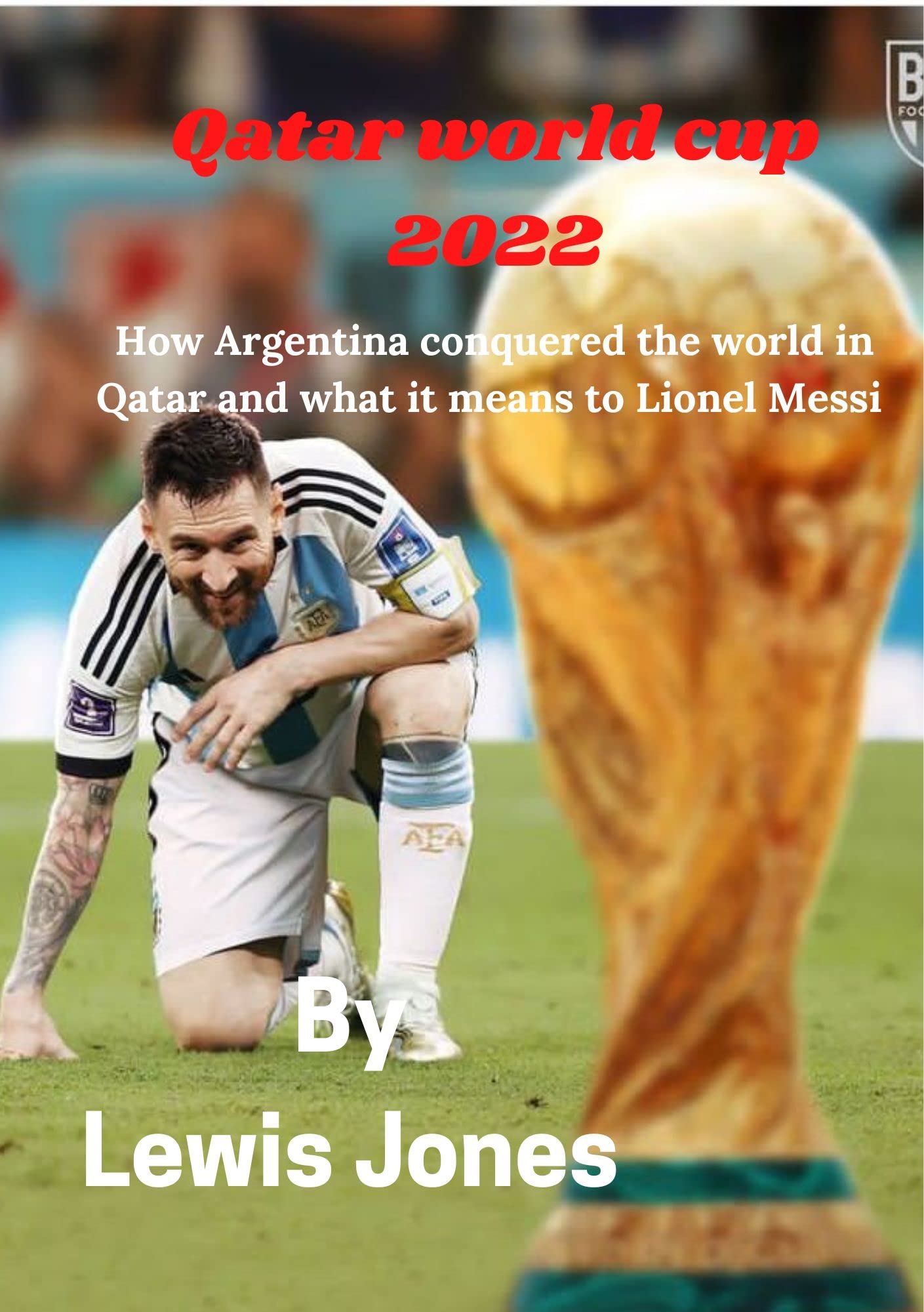 Qatar world cup 2022: How Argentina conquered the world in Qatar and ...