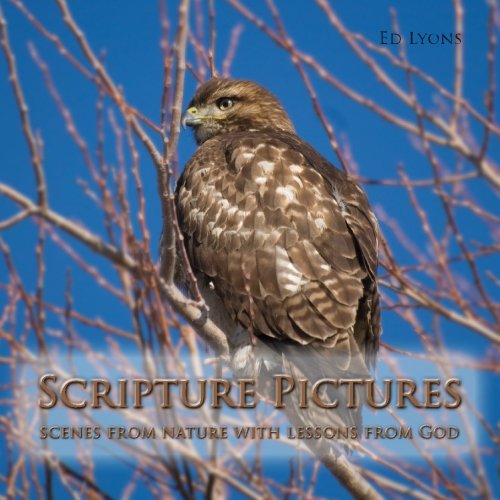 Scripture Pictures: Scenes from Nature With Lessons from God-- Photos ...