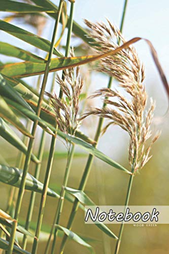 Notebook Reed in the Wind: Lined Journal, Decorative Notebook, Diary ...