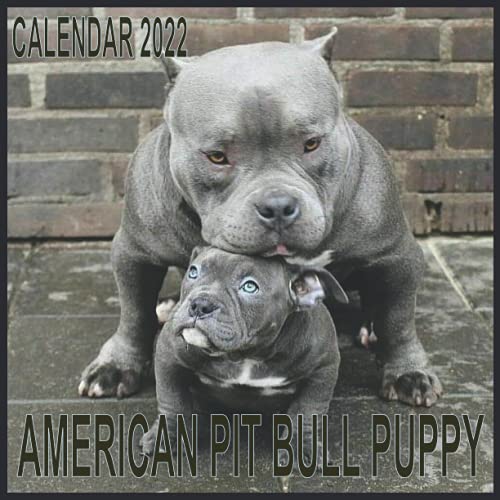 AMERICAN PIT BULL PUPPY CALENDAR 2022: AMERICAN PIT BULL PUPPY CALENDAR ...