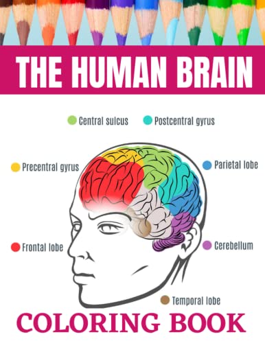 The Human Brain Coloring Book by zouhra zouhri | Goodreads