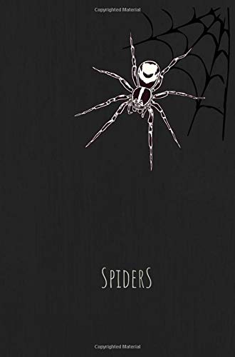 Spiders: Cute Small Halloween Notebook - Healthy Candy Trick or Treat ...