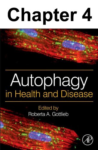 Chapter 004, Autophagy in the Immune System by Roberta Gottlieb | Goodreads