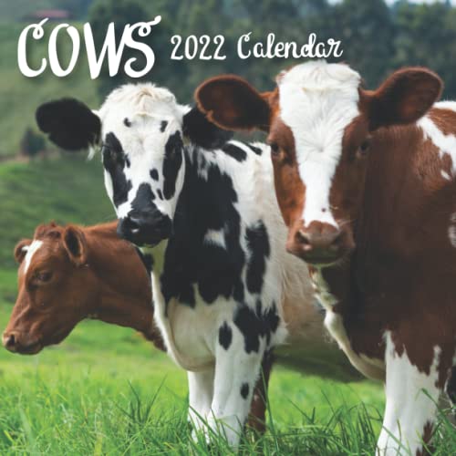 Cows Calendar 2022: Cows 2022 Calendar, Cow Lovers Calendar With a ...