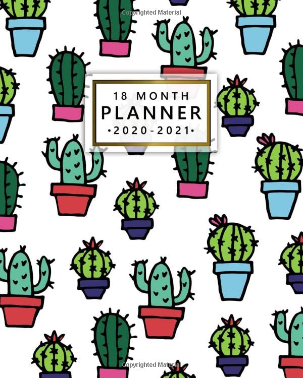 18 Month Planner 2020-2021: Funky Weekly Planner & Calendar with ...
