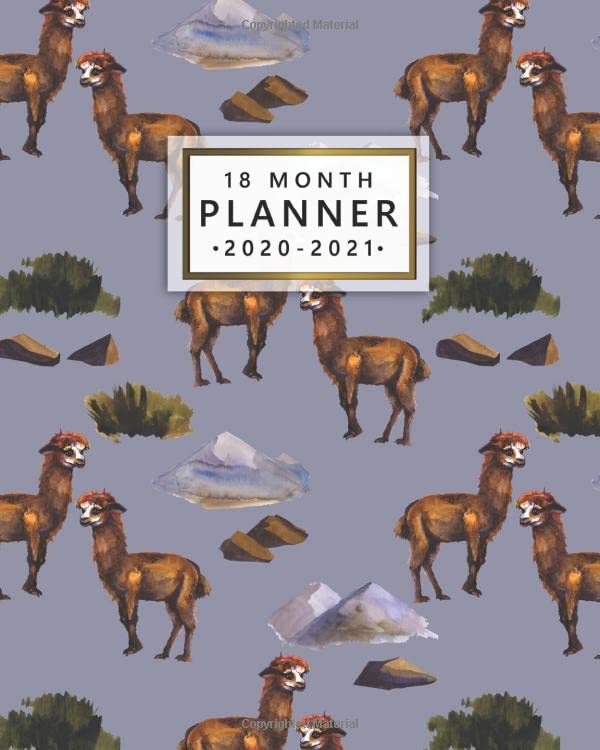18 Month Planner 2020-2021: Nifty Desert Llama Weekly Calendar ...
