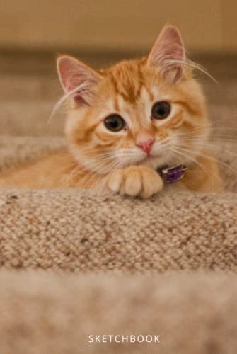 Cats Sketchbook for Drawing: Sketchbook for Beginners, Notebook for ...