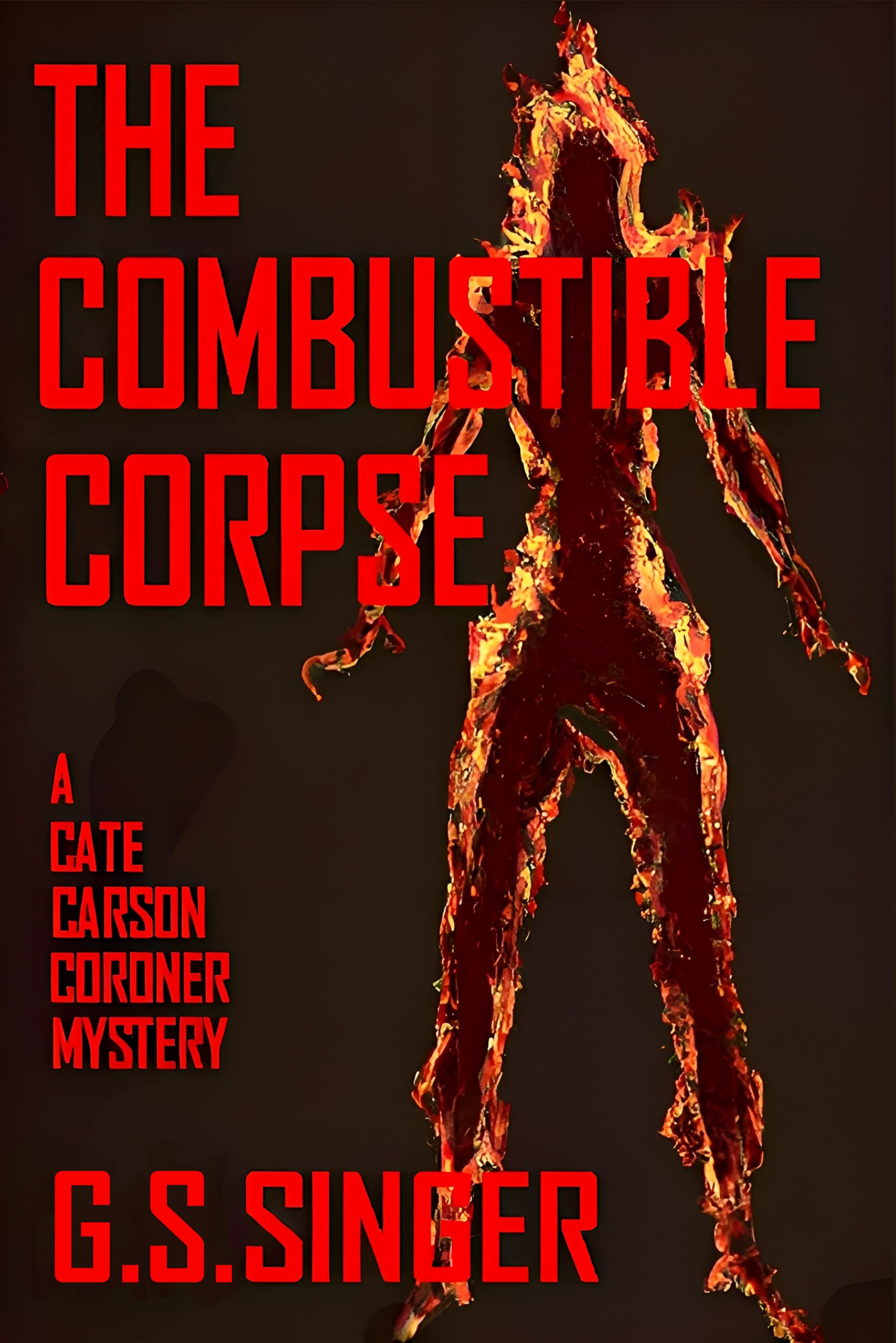 The Combustible Corpse: A Cate Carson Coroner Mystery by G. S. Singer ...