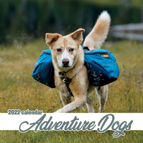 Adventure Dogs 2022 Calendar: Hiking, Camping, and Traveling With Puppy ...