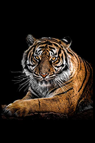 Tiger Notebook: Beautiful Tiger-themed journal, 6" x 9", 110 pages by ...