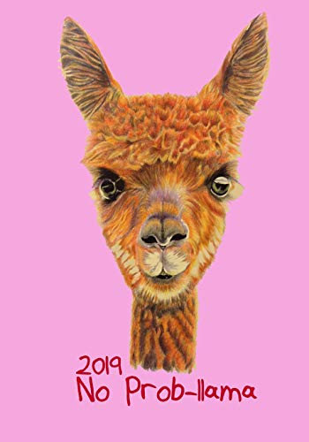 2019 No Prob-llama: A Simple Weekly Planner For All Your Tasks Coming ...