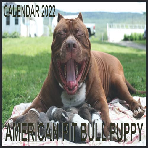 AMERICAN PIT BULL PUPPY CALENDAR 2022: AMERICAN PIT BULL PUPPY CALENDAR ...