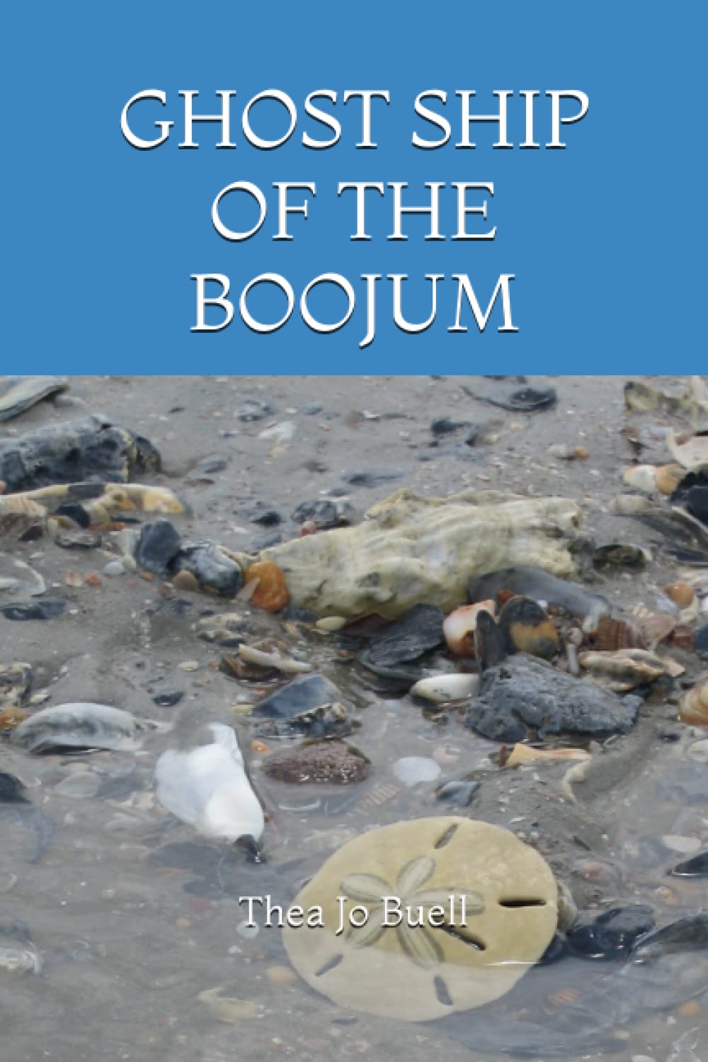 GHOST SHIP OF THE BOOJUM by Thea Jo Buell | Goodreads