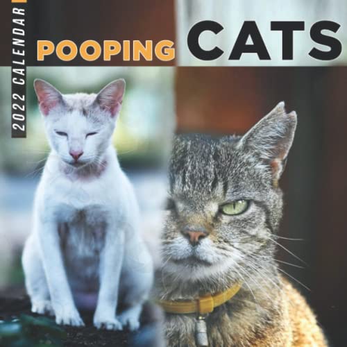 pooping cats calendar 2022: Funny Animal Lover Gag Joke Gift for Women ...