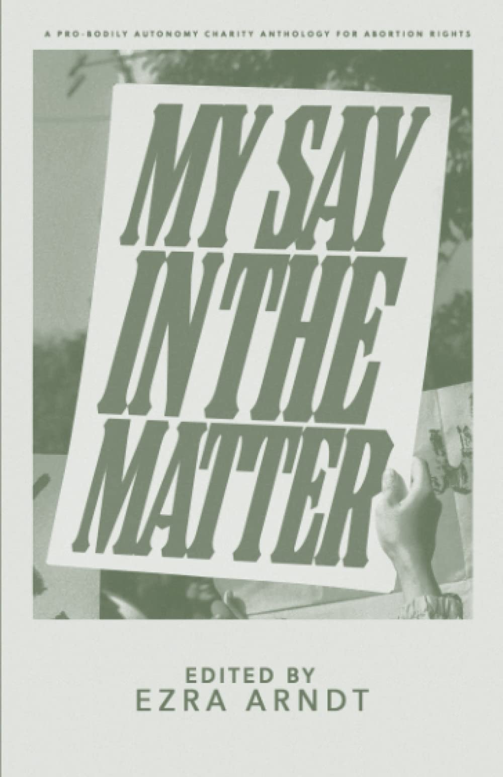 My Say in the Matter: a pro-bodily autonomy charity anthology for ...
