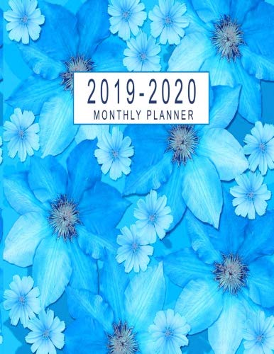 2019-2020 Monthly Planner: 2019-2020 Monthly Calendar At A Glance | 24 ...