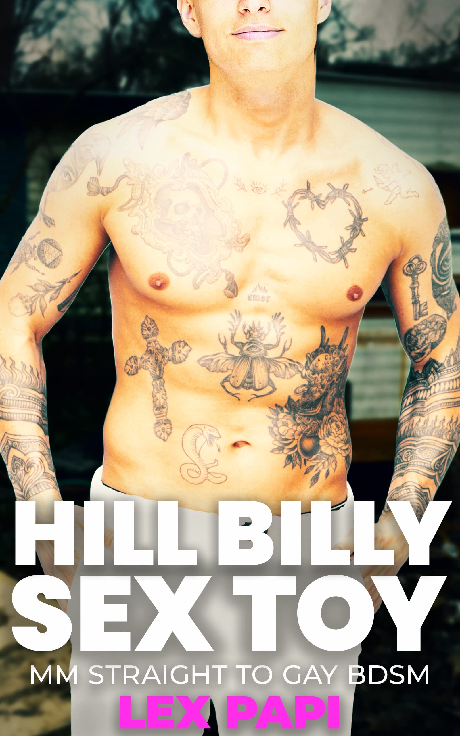 Hill Billy Sex Toy: MM Straight to Gay BDSM by Lex Papi | Goodreads