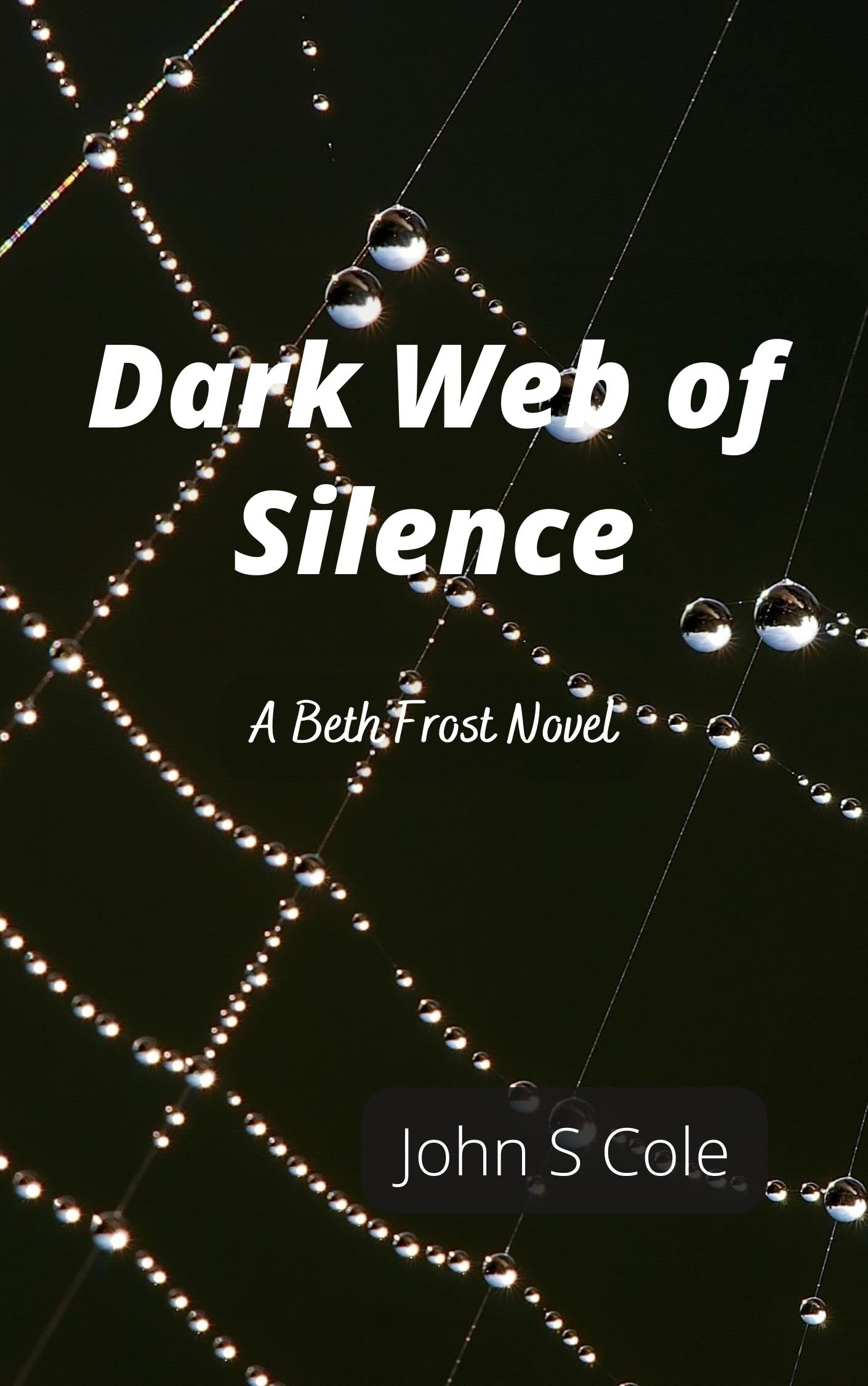 Dark Web of Silence: A Beth Frost Novel by John S Cole | Goodreads
