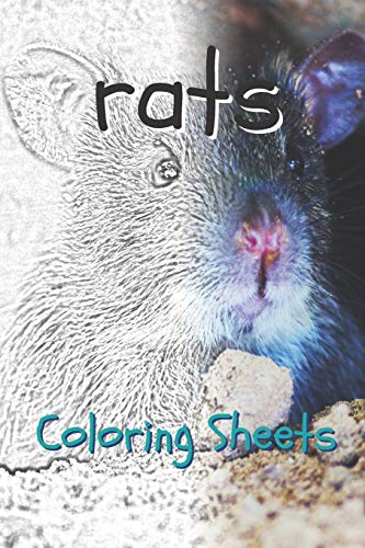 Rat Coloring Sheets: 30 rat drawings,coloring sheets adults relaxation ...