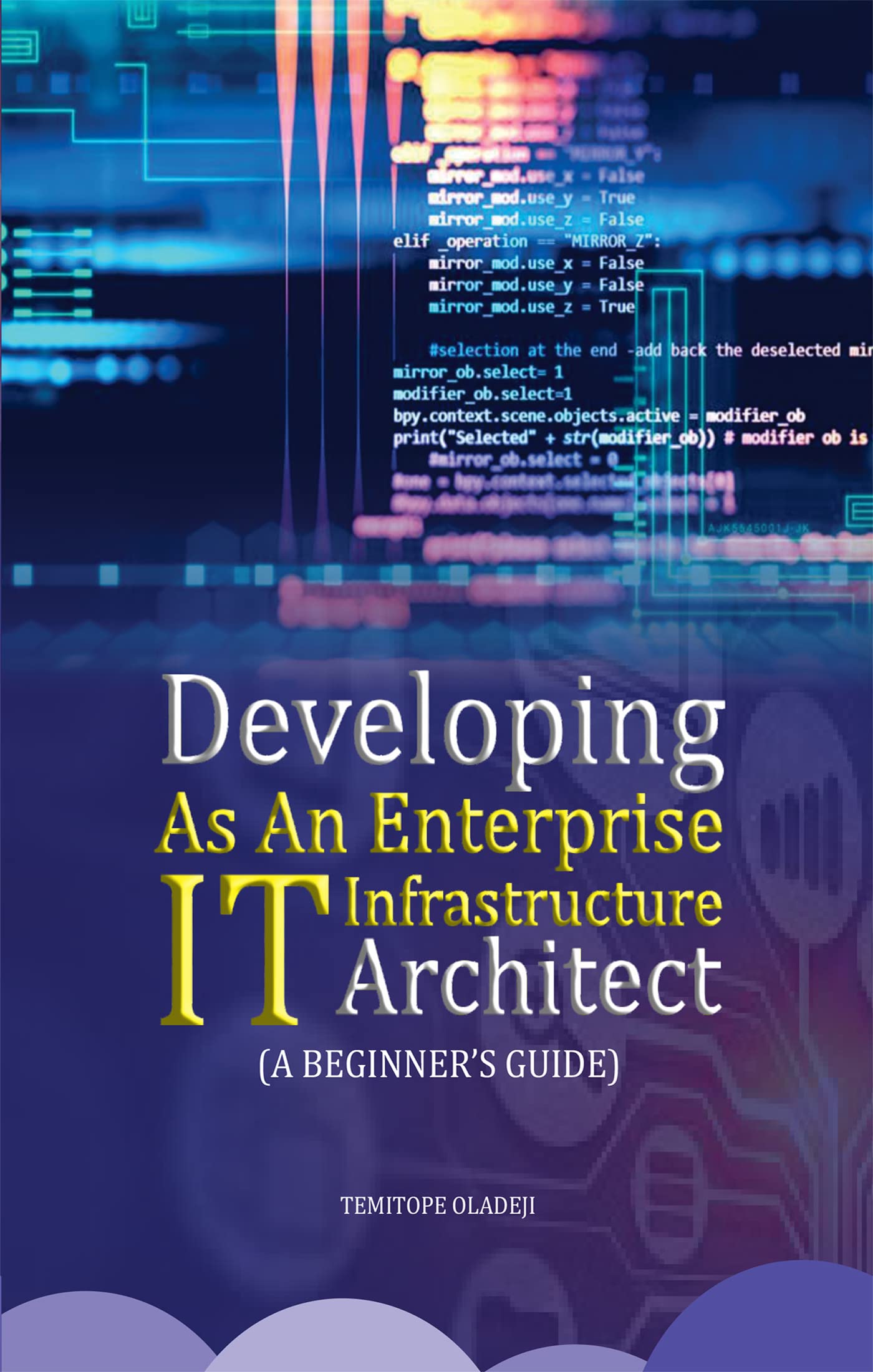 Developing As An Enterprise IT Infrastructure Architect : A Beginner’s ...