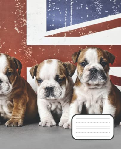 English Bulldog Draw and Write Journal: Grades K-2: Dog Primary ...