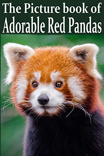 The Picture Book Of Adorable Red Pandas: A Gift Idea Book For Alzheimer ...