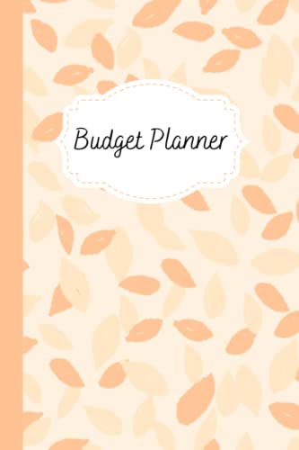 Budget Planner: Budgeting Workbook: Stay on top of your finances ...