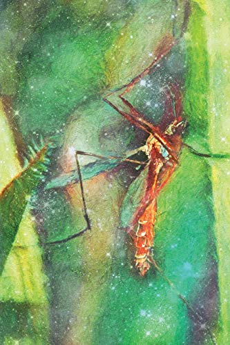 Notes: Common Daddy-Longlegs - Blank College-Ruled Lined Notebook by ...