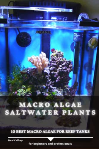 Macro Algae Saltwater Plants: 10 Best Macro Algae for Reef Tanks by Neal Caffrey | Goodreads