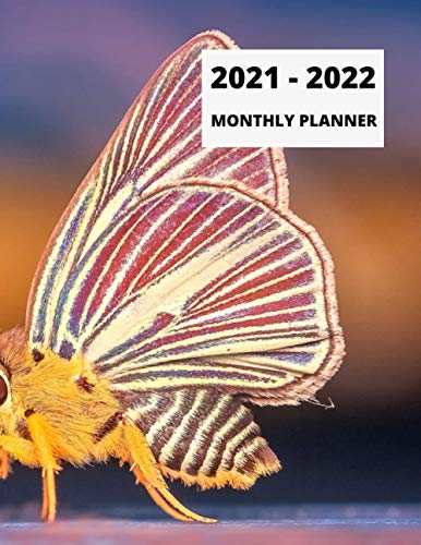 2021-2022 MONTHLY PLANNER: Butterfly Theme, Two Year Planner Calendar ...