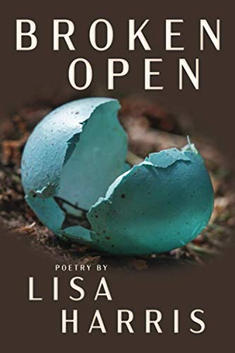 Broken Open by Lisa Harris | Goodreads