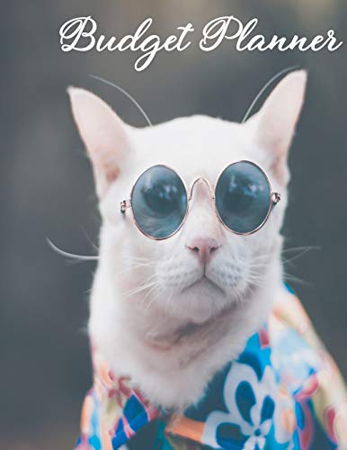 Budget Planner: Personal Finance Journal Planning Workbook (Volume 3 ...