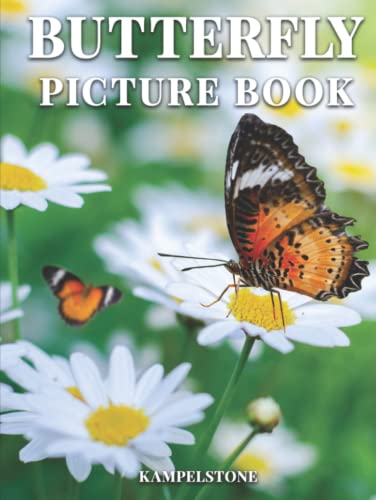 Butterfly Picture Book: 100 Images of Beautiful Colorful Butterflies ...