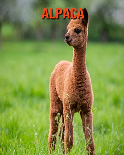 Alpaca: Fun Learning Facts About Alpaca by Sybil Edward | Goodreads