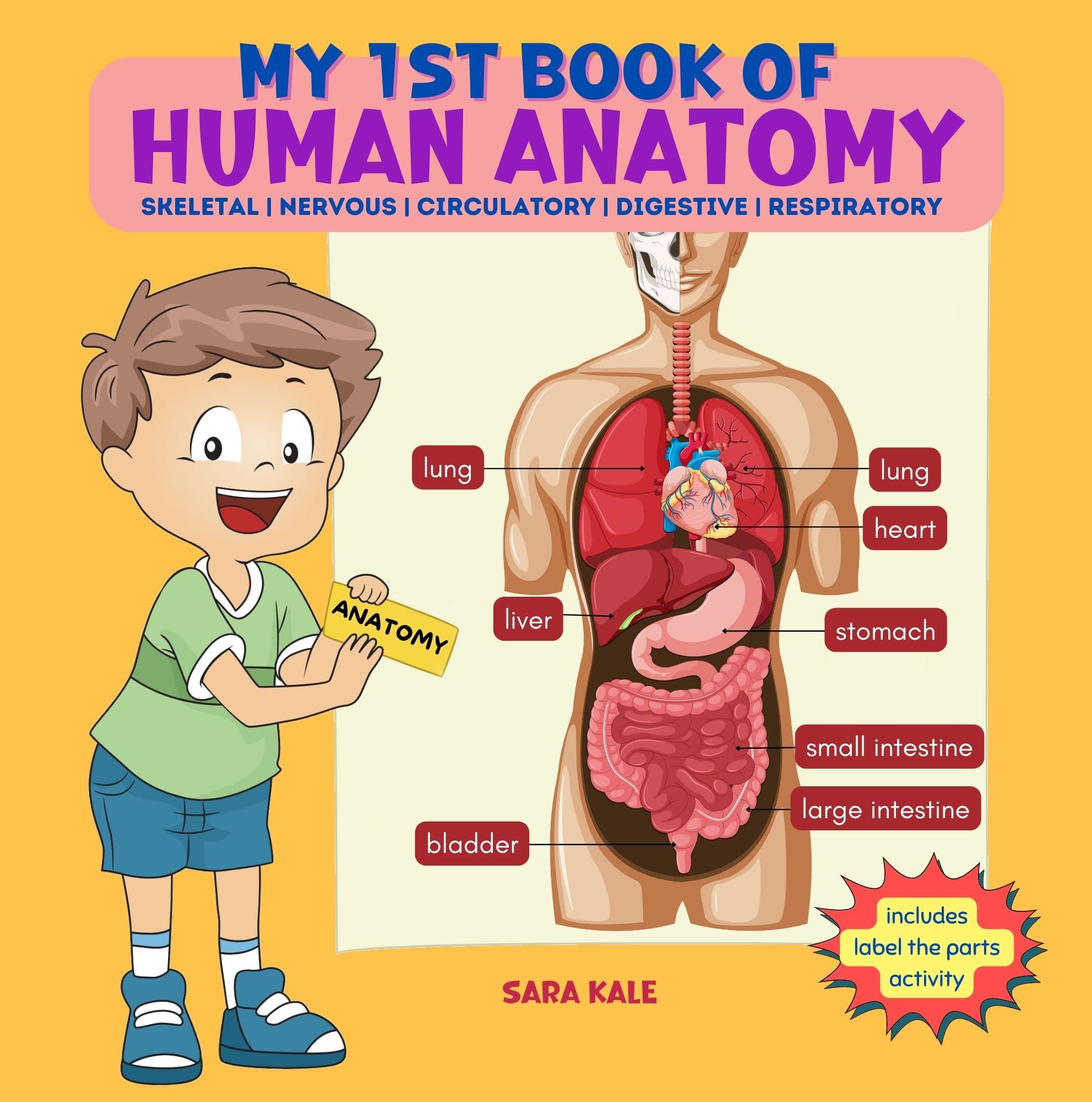 My 1st Book of Human Anatomy : Discovering the Human Body Systems ...