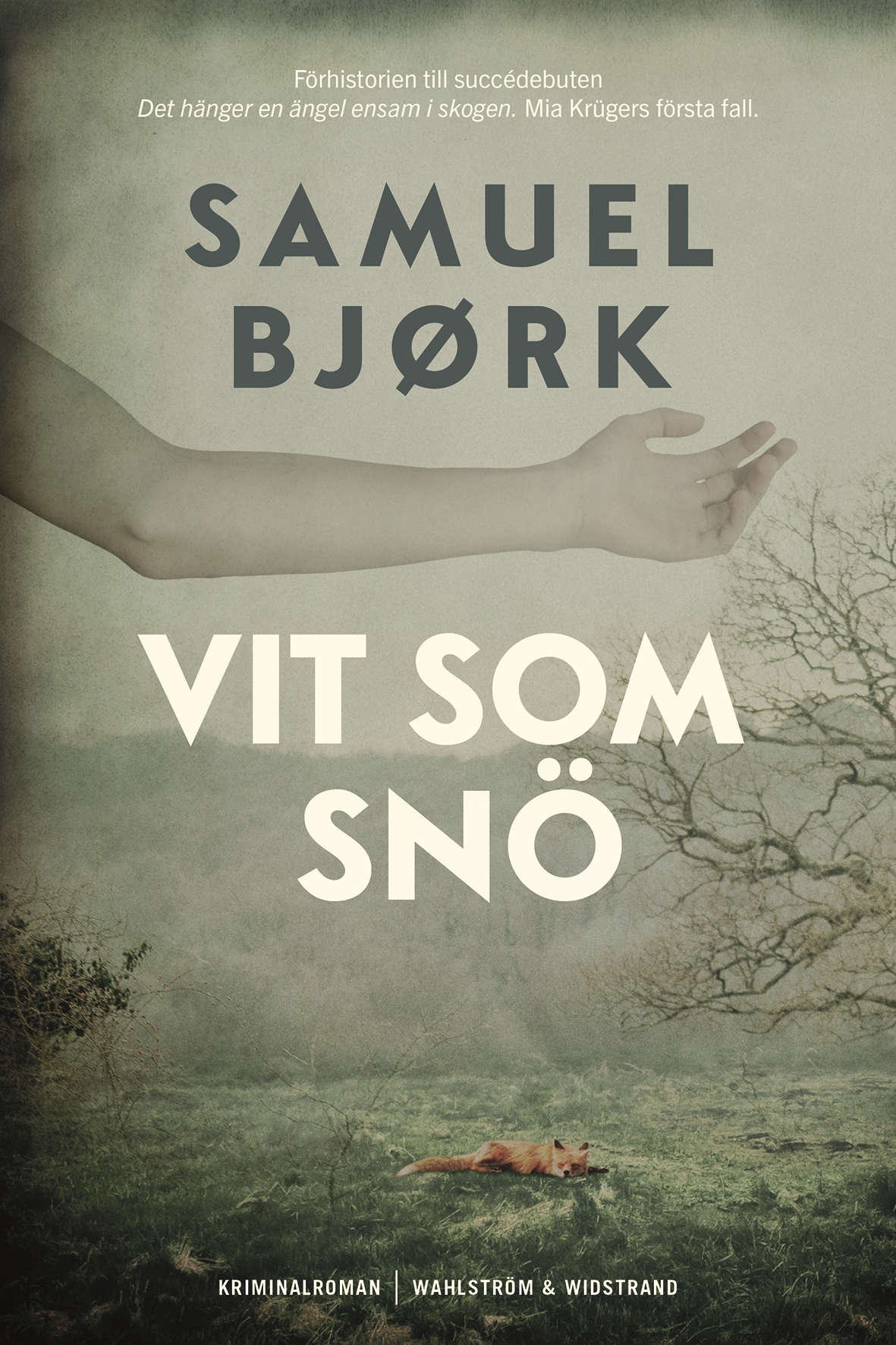 Vit som snö (Holger Munch & Mia Kruger, #0) by Samuel Bjørk | Goodreads