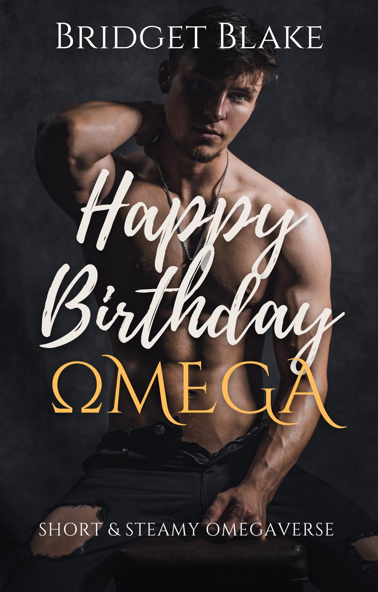 Happy Birthday, Omega by Bridget Blake | Goodreads