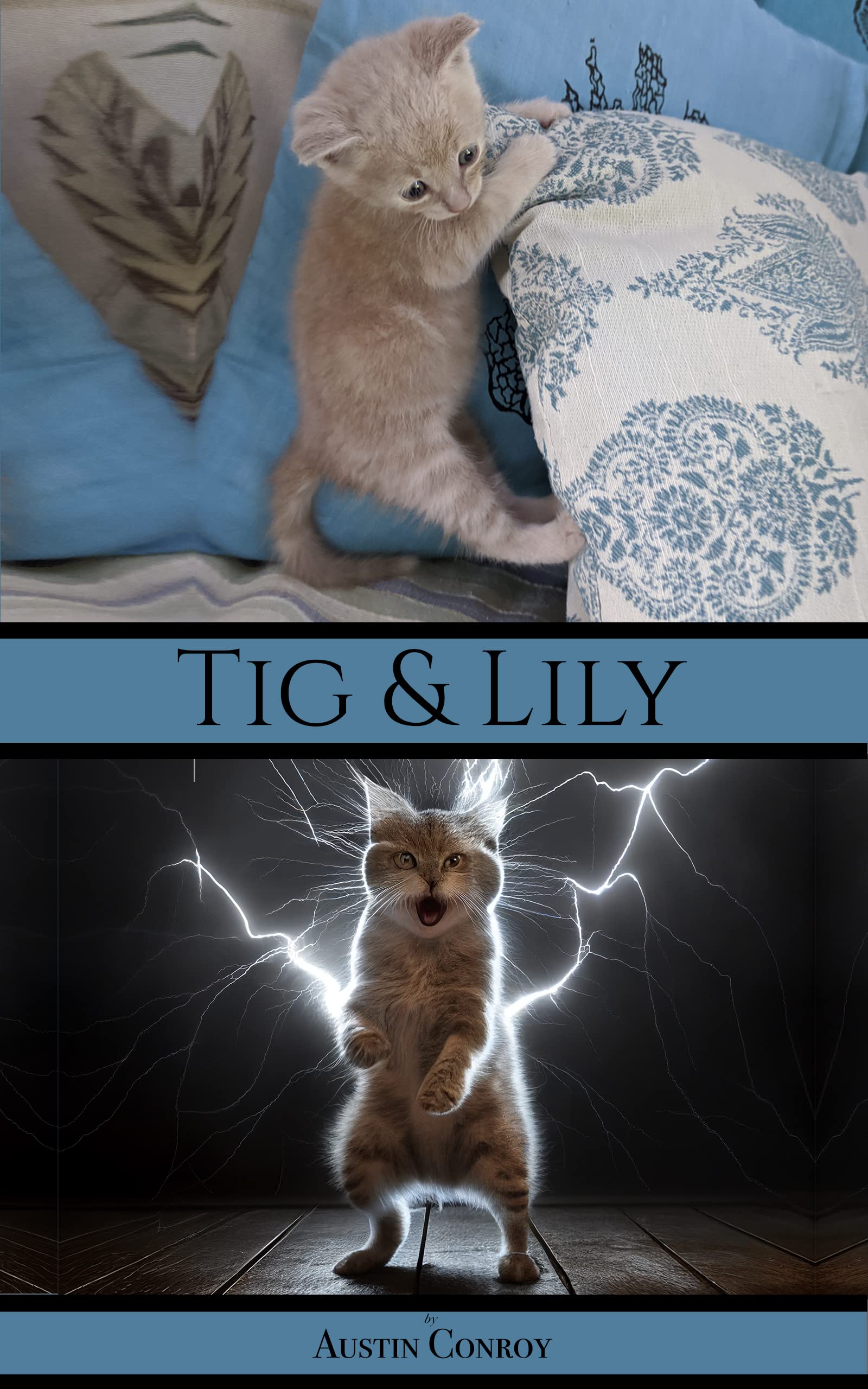 Tig & Lily by Austin Conroy | Goodreads