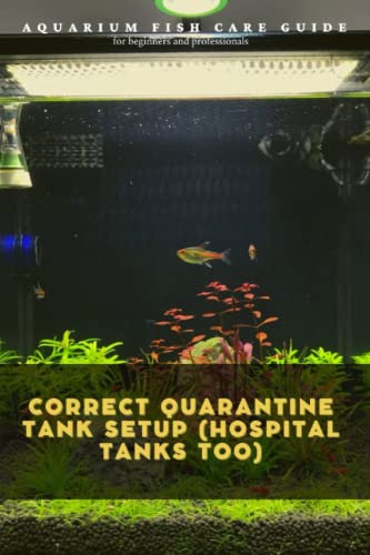 Correct Quarantine Tank Setup (Hospital Tanks Too): Aquarium fish care ...