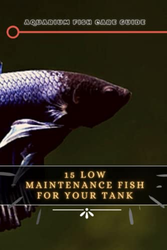 15 lоw Maintenance Fish For Your Tank: Aquarium fish care guide by Bun ...