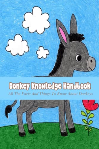 Donkey Knowledge Handbook: All The Facts And Things To Know About ...