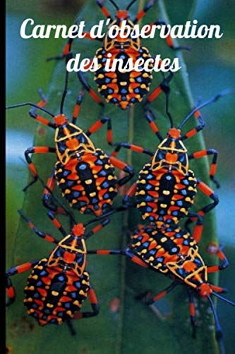 Carnet d'observation des insectes: Observation des insectes ; Carnet ...